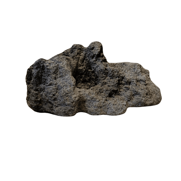 Akvarieboden - Din lokale akvarie butikk på nett | Gratis frakt!