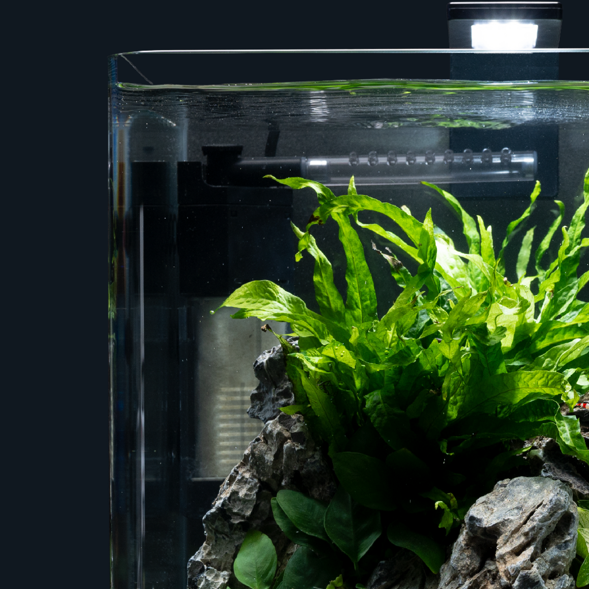 DENNERLE NANO CORNER FILTER 40 - Akvarieboden